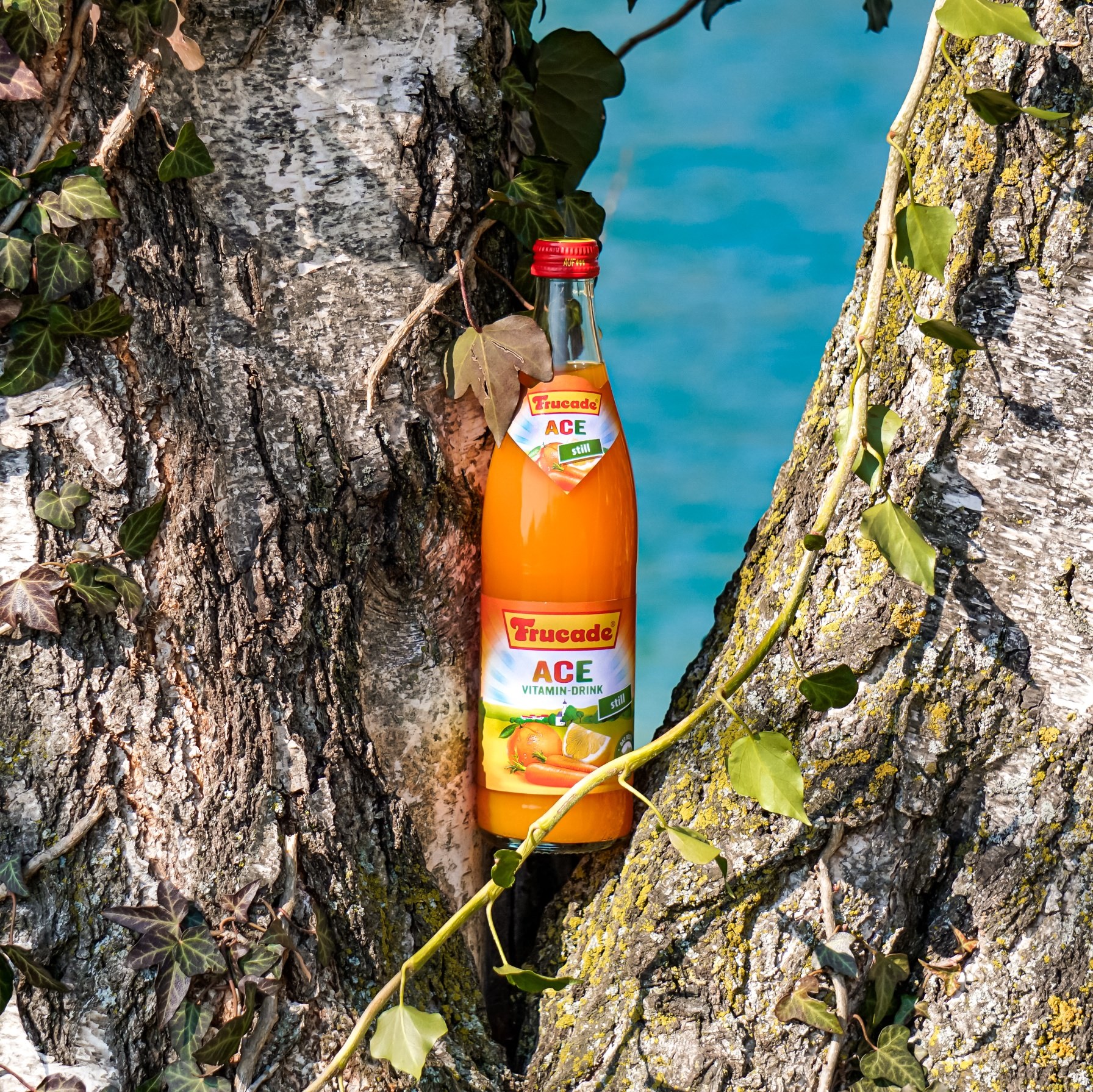 FRUCADE® - Die Heimatlimonade